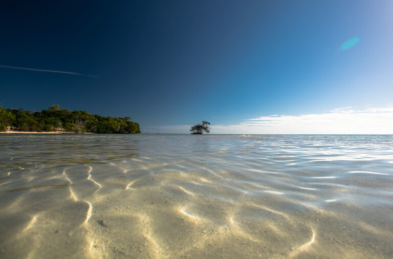 Key West Sandbar Charters: The Better Beaches